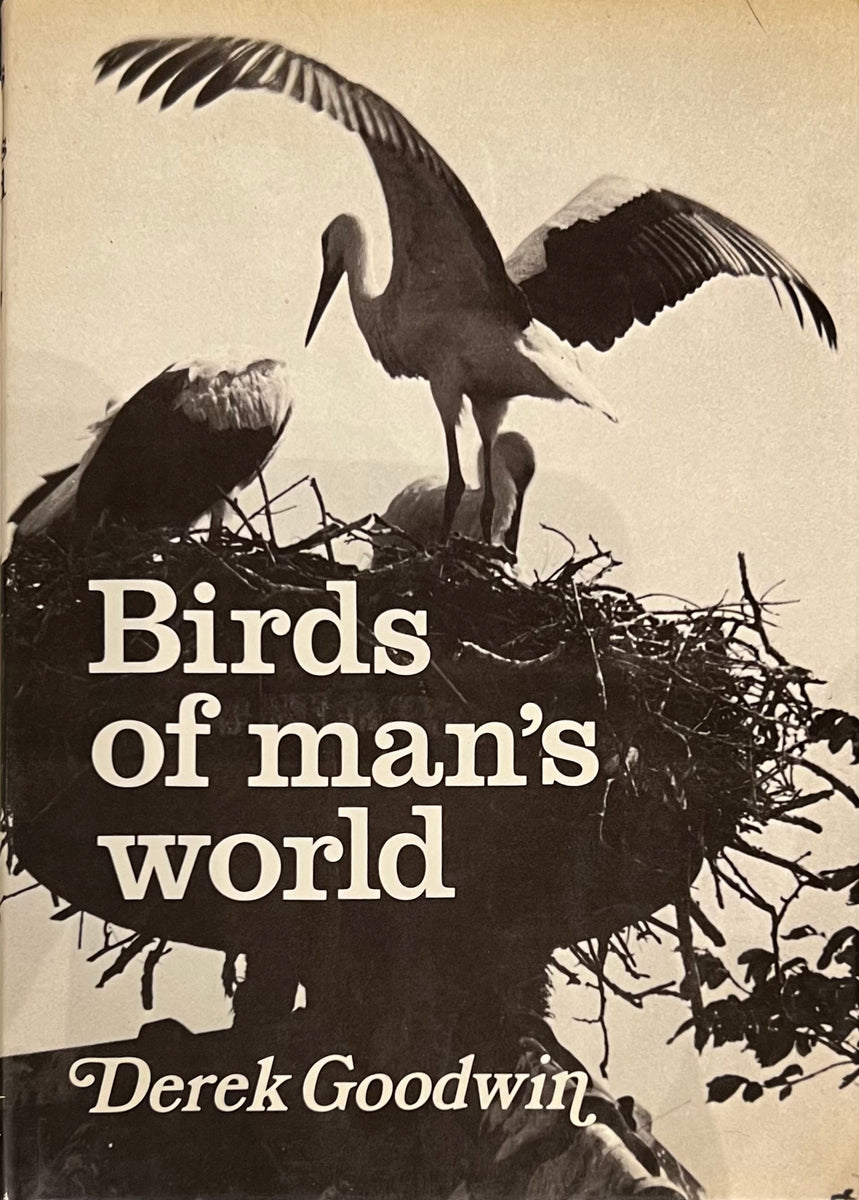 Birds of Man’s World, Derek Goodwin – Pillow-Cat Books