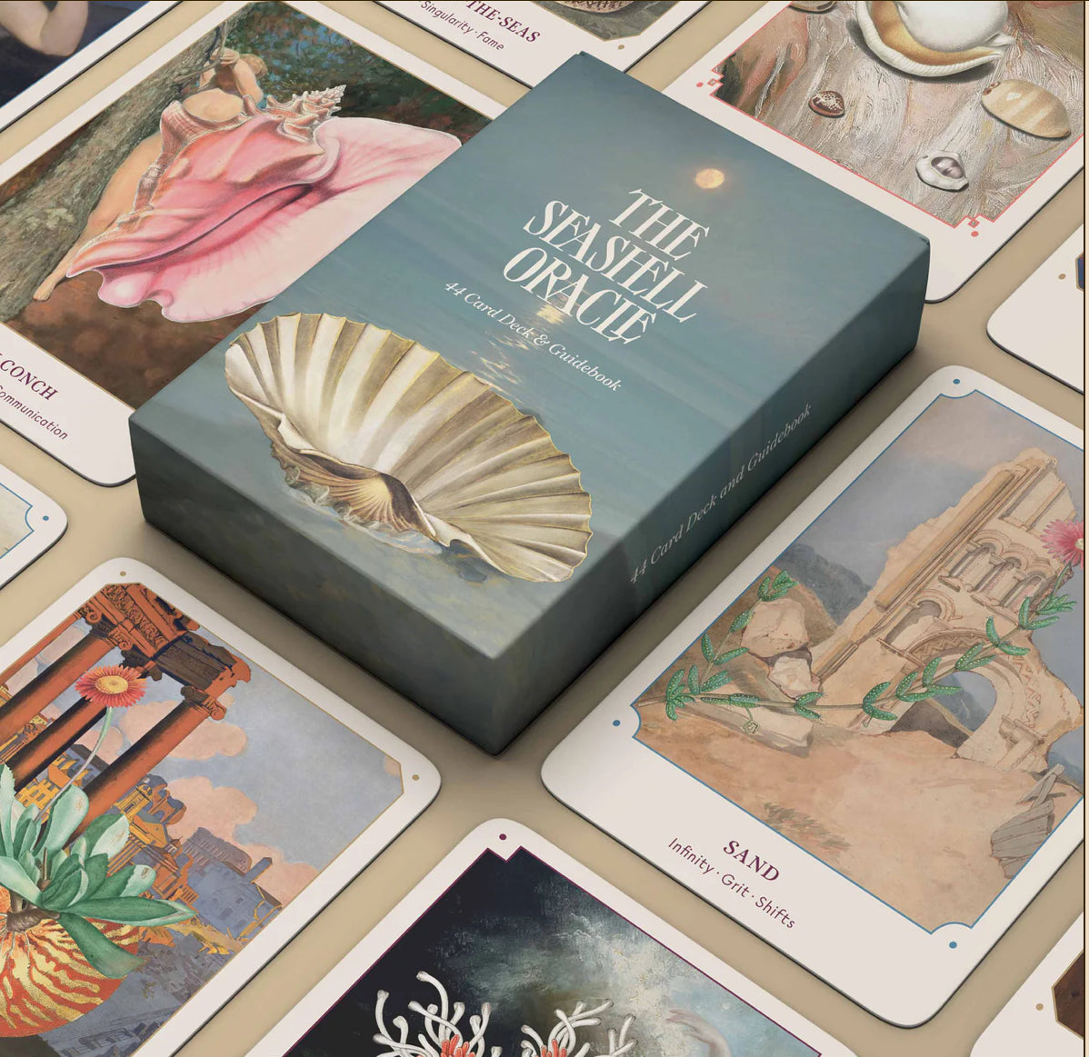 The Seashell Oracle: 44 Card Deck & Guidebook – Pillow-Cat Books