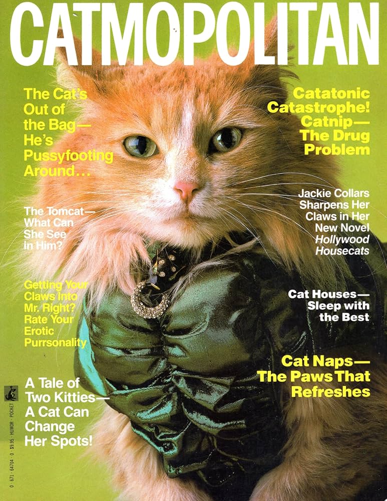 Catmopolitan Magazine – Pillow-Cat Books