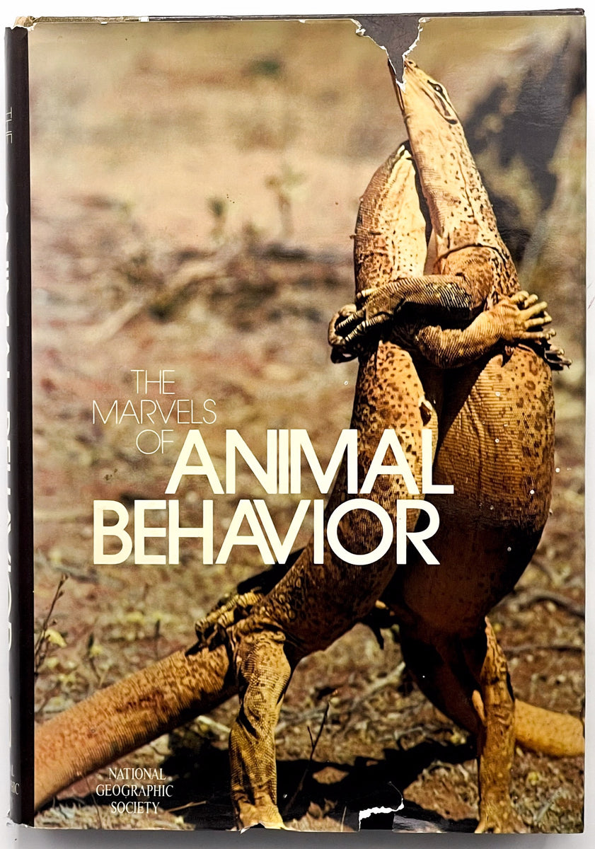 The Marvels of Animal Behavior – Pillow-Cat Books