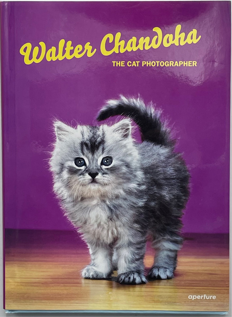 Walter Chandoha, The Cat Photographer – Pillow-Cat Books