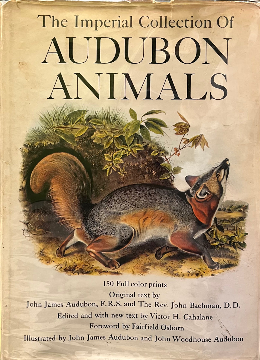 The Imperial Collection of Audubon Animals – Pillow-Cat Books