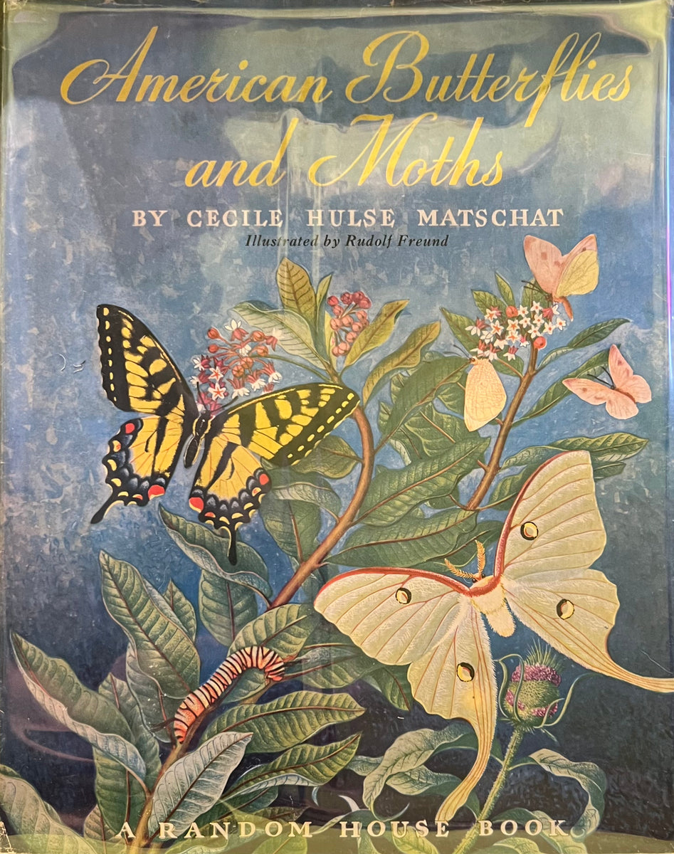 American Butterflies and Moths, Cecile Hulse Matschat – Pillow-Cat Books